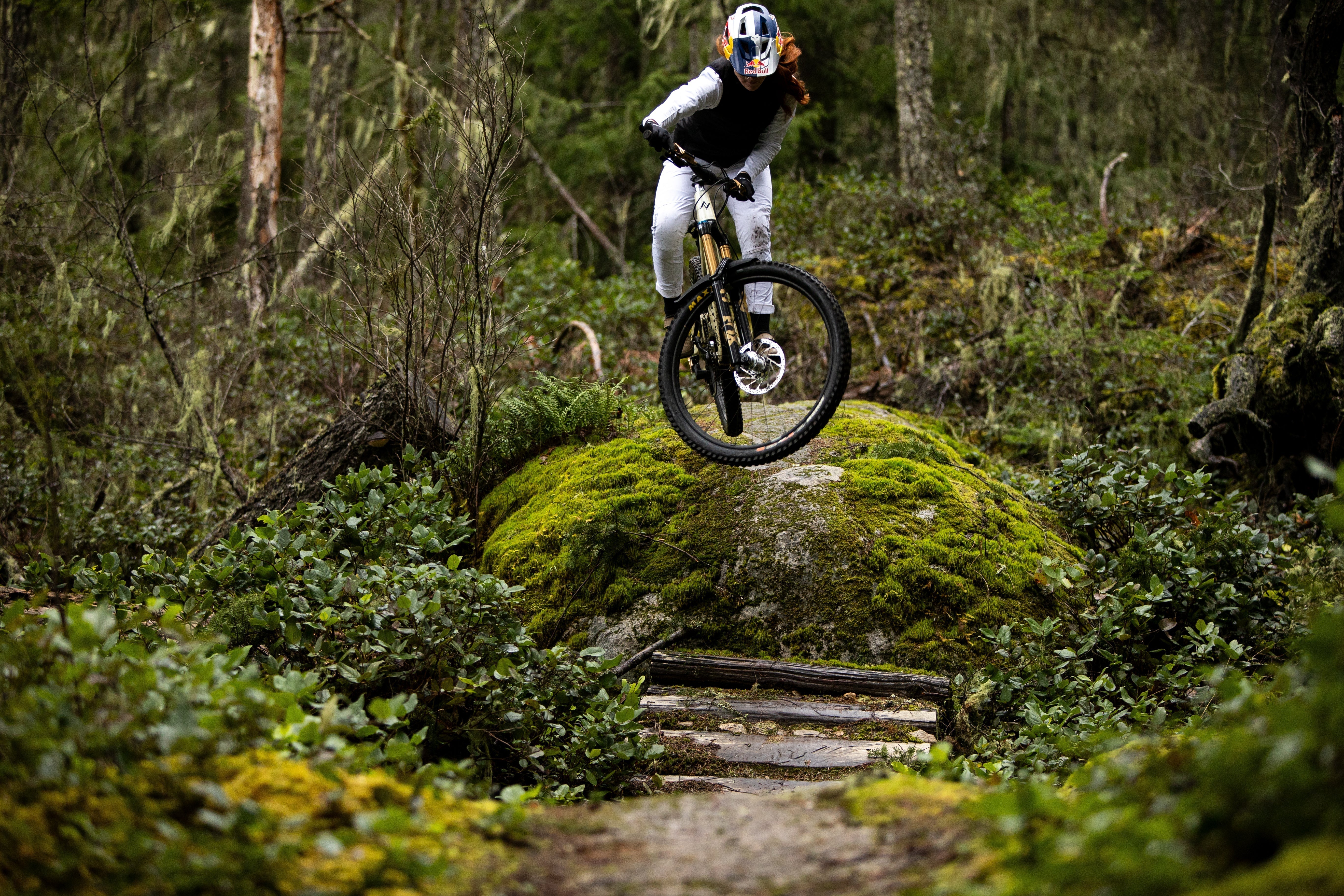 FOX 36 vs 36 SL: Which MTB fork is better for me? – RideFOX