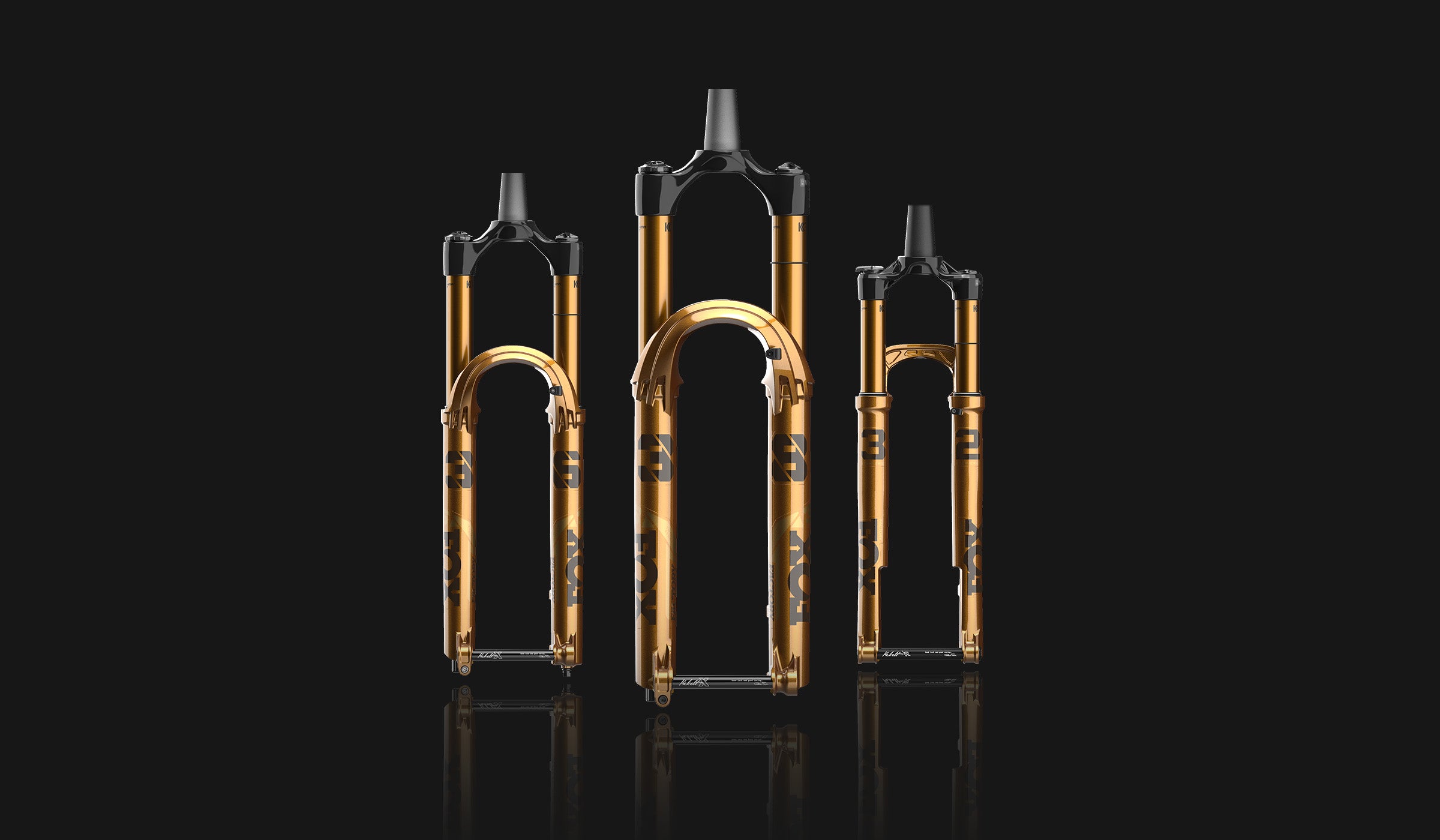 Limited Edition Podium Gold Forks – RideFOX