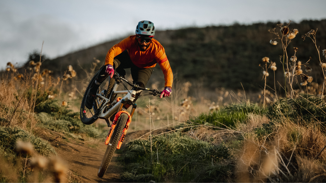 MTB Shock Collection. Air & Coil Suspension – FOX